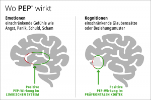 PEP - Prozess und Embodiment-fokussierte Psychologie - Elke Luckner ...